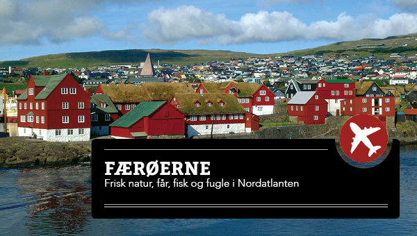 Flyrejser med store oplevelser | Kultur | natur | Fin din rejse her